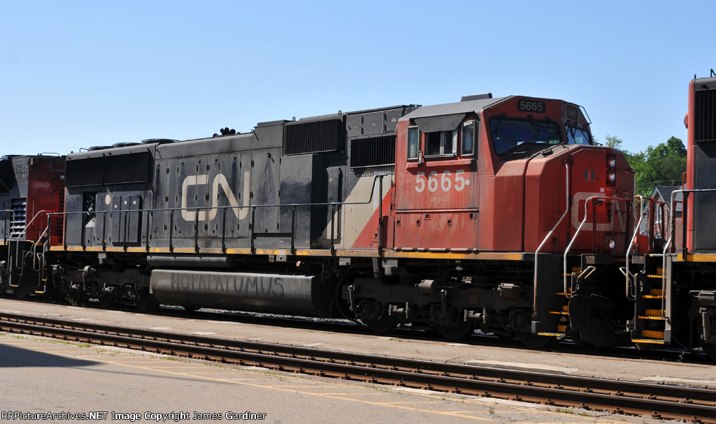 CN 5665